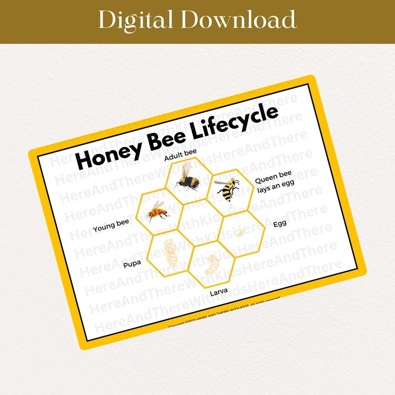 Learning About Bees Activity Book for Kids; Pollination; Bee ...