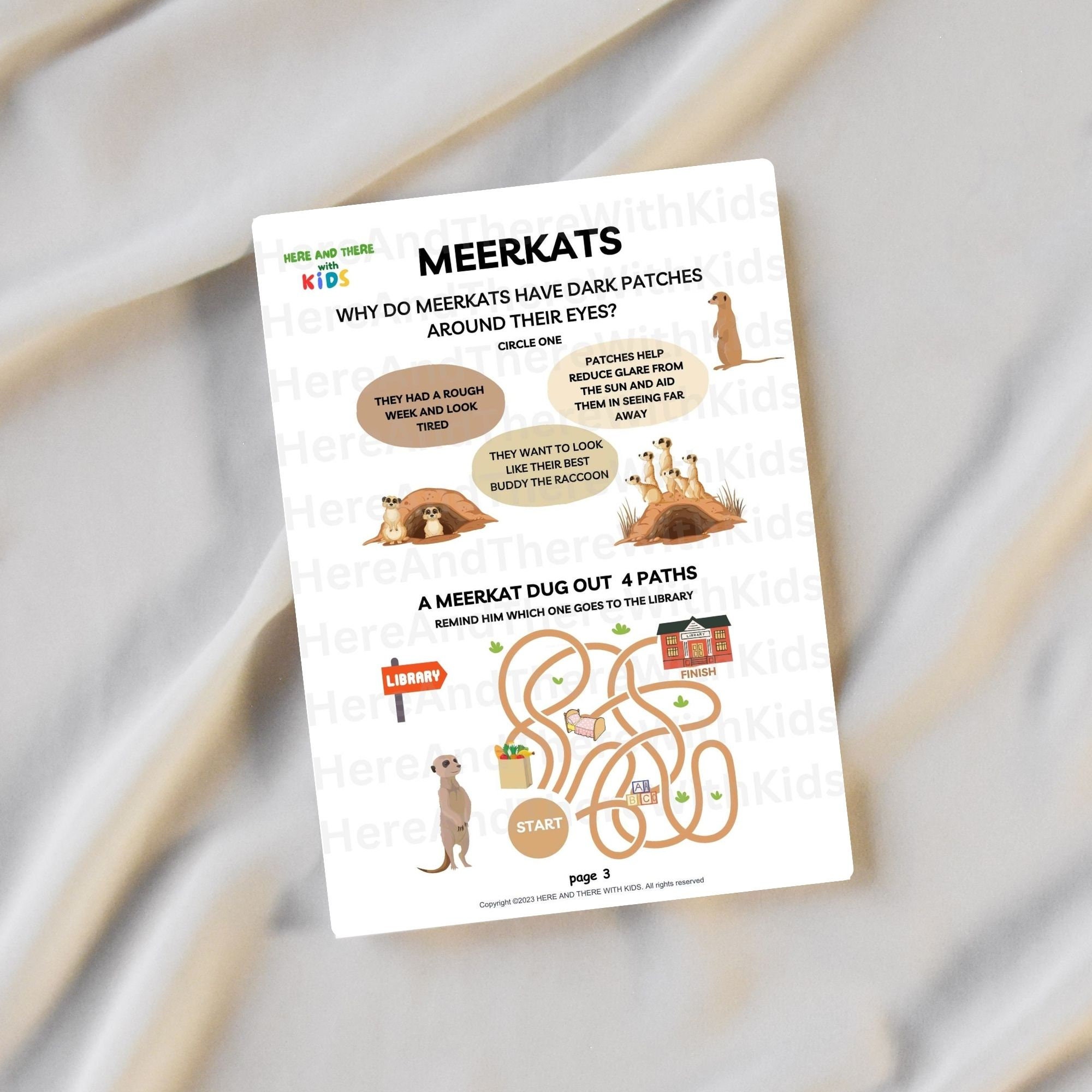 Zoo Trip Activity Book, Zoo Field Trip Book, Kids Activity Book, Animal ...