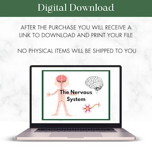 Nervous System Activity Book for Kids; Brain Activity Book; Learning ...
