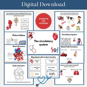 Circulatory System Activity Book for Kids Human Heart Activity Book ...