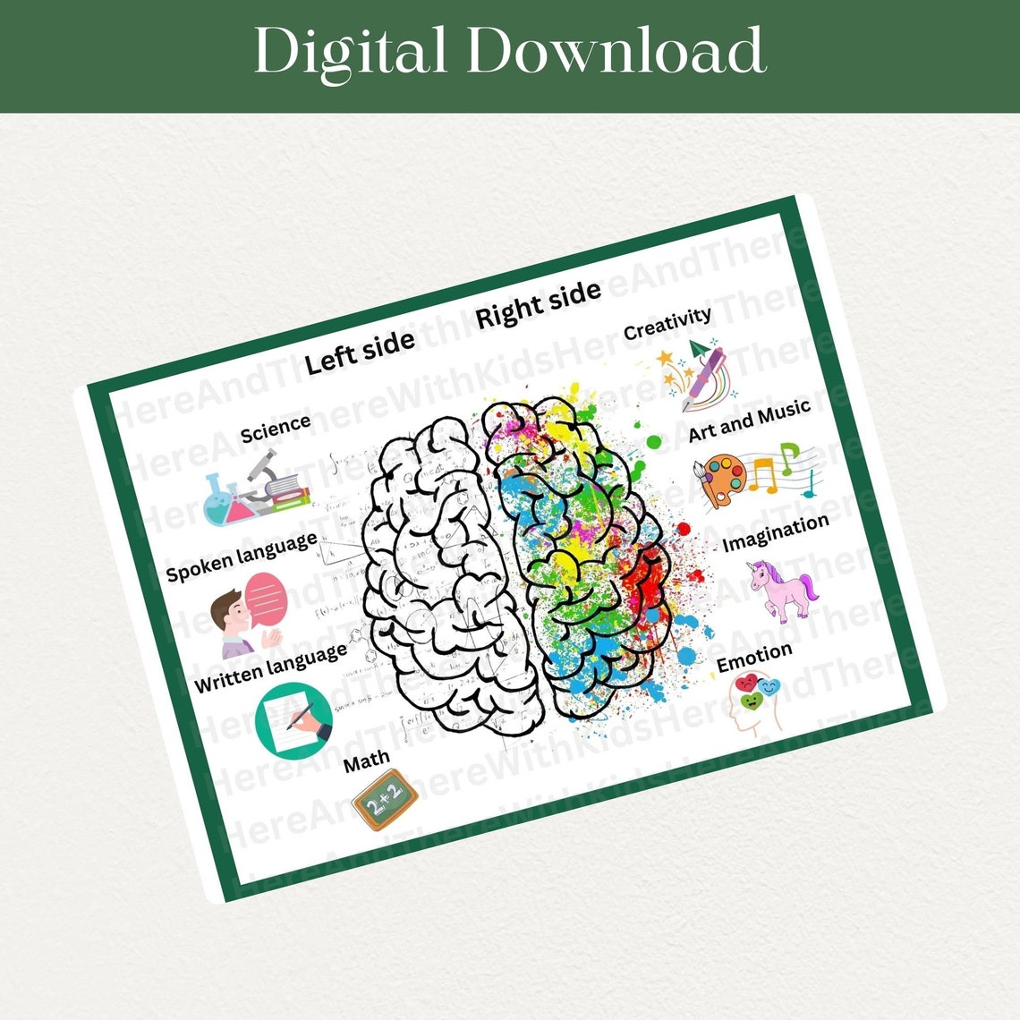 Nervous System Activity Book for Kids; Brain Activity Book; Learning ...