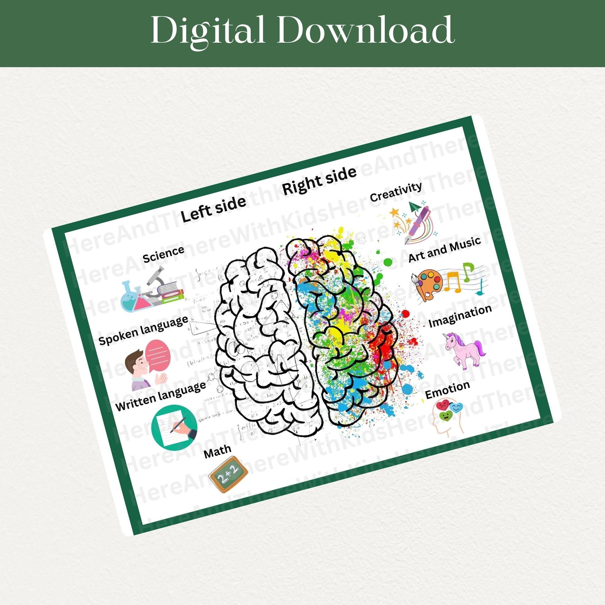 Nervous System Activity Book for Kids; Brain Activity Book; Learning ...