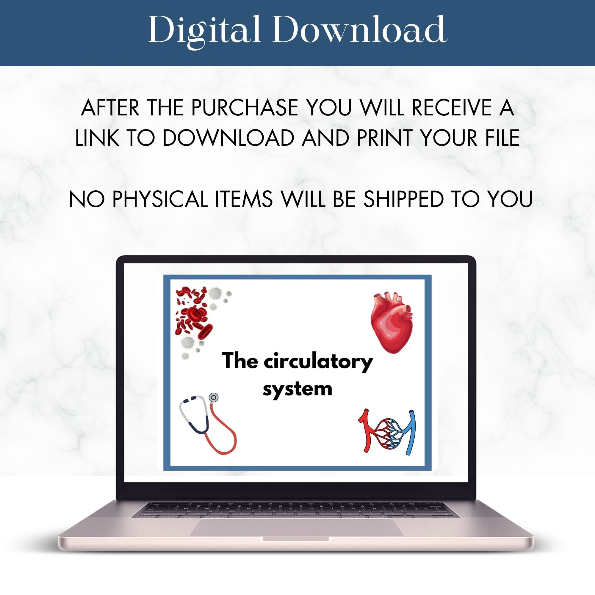 Circulatory System Activity Book for Kids Human Heart Activity Book ...