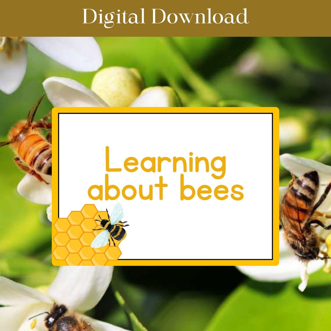 Learning About Bees Activity Book for Kids; Pollination; Bee ...