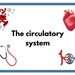 Circulatory System Activity Book for Kids Human Heart Activity Book ...