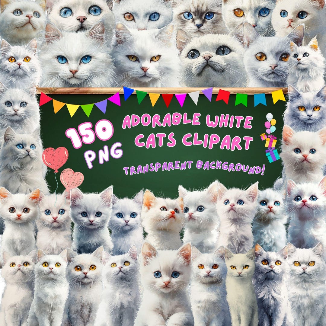 150 Adorable White Cats Clipart ,transparent Background ,image Size ...