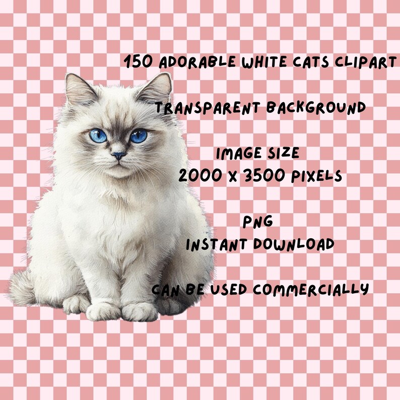 150 Adorable White Cats Clipart ,transparent Background ,image Size ...