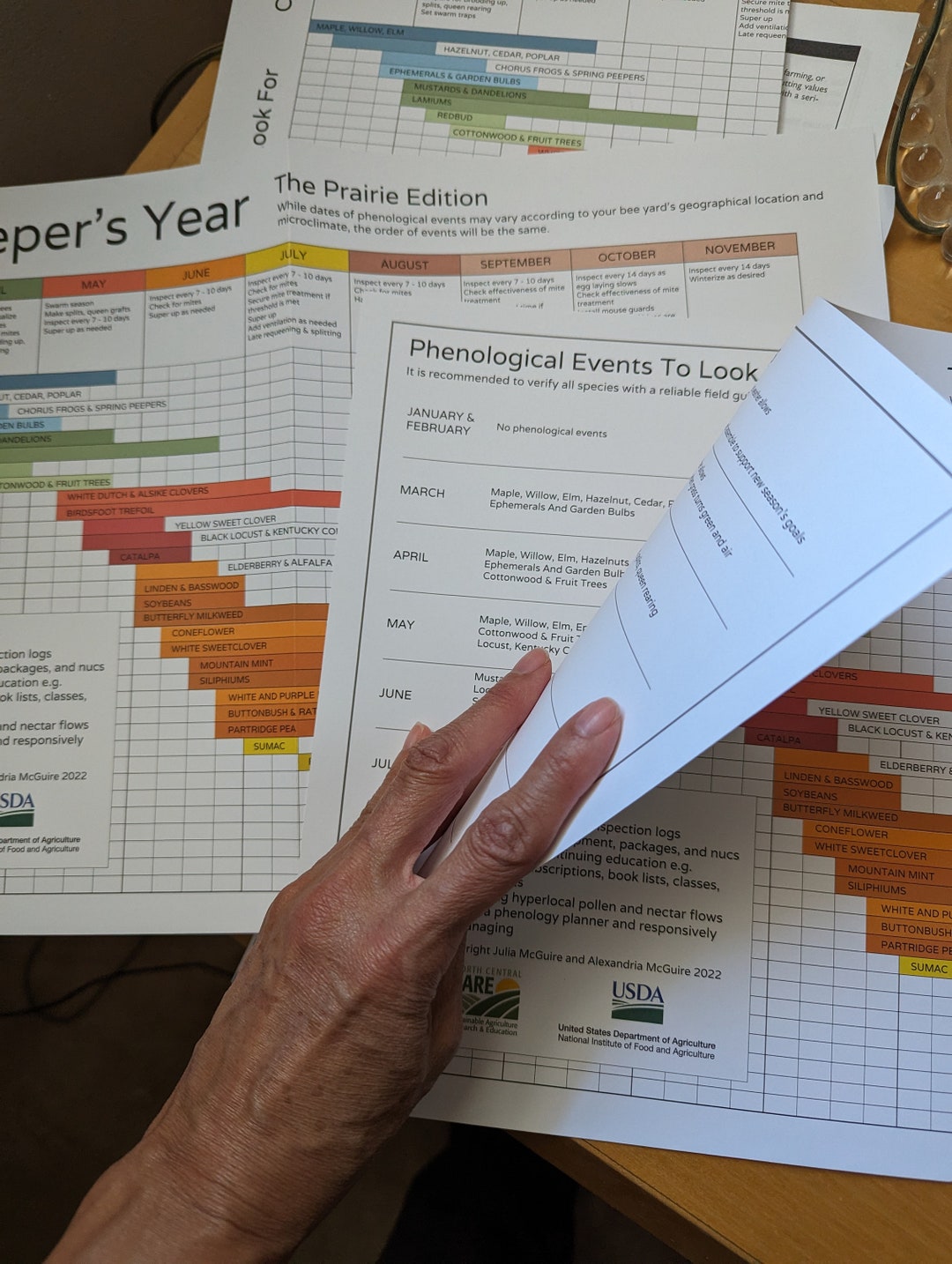 Beekeeping Guide: Phenology Calendar (prairie Edition) Digital Download ...