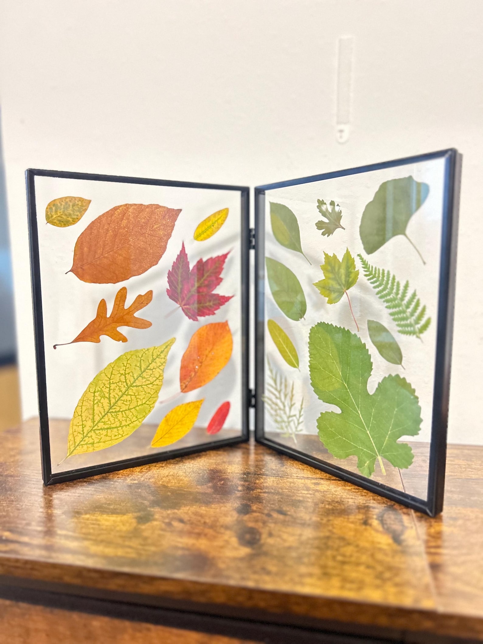 Nature Pressed Leaf Mural, Pressed Leaf Art, Framed Leaves, Eco Art ...