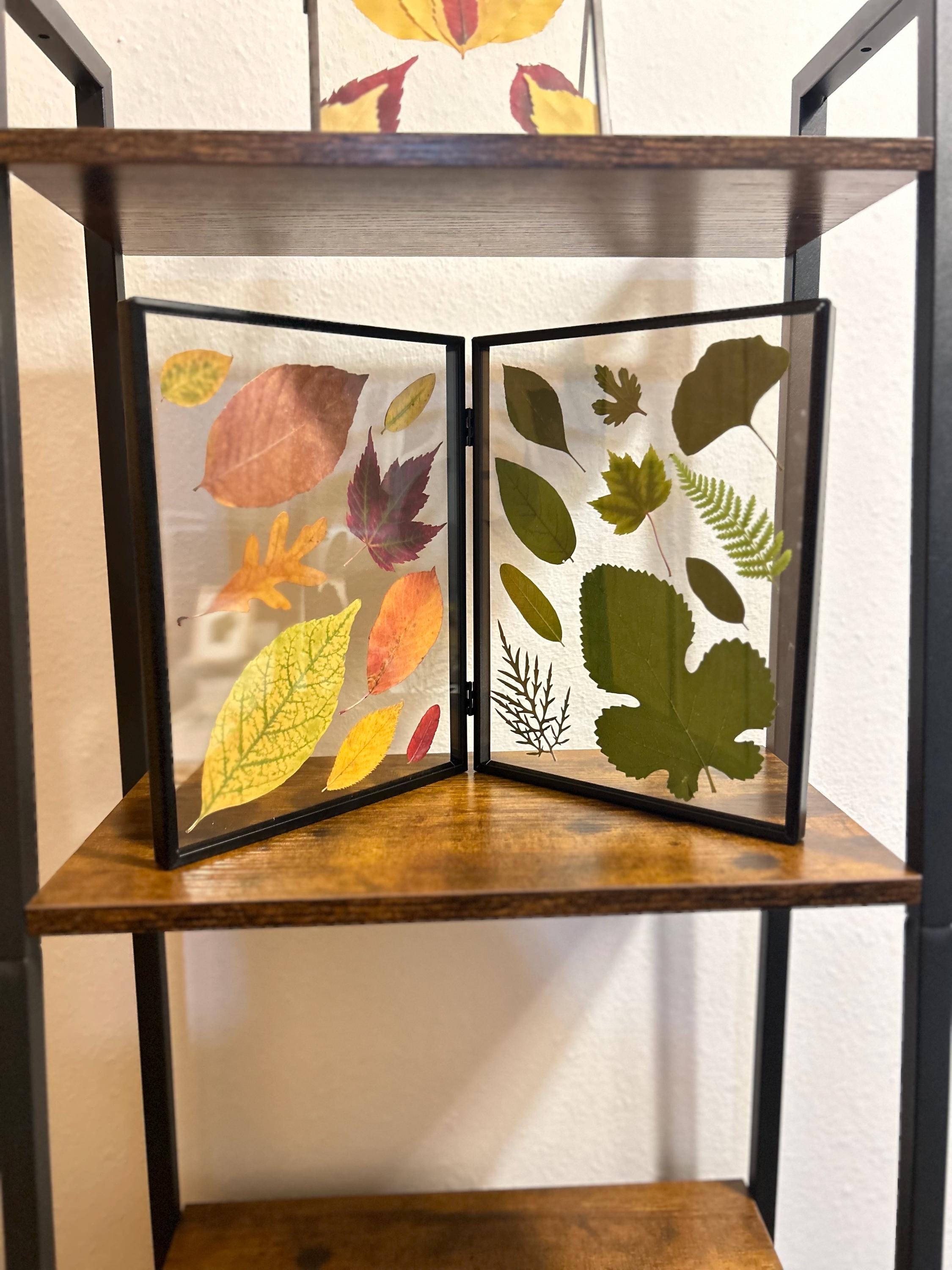 Nature Pressed Leaf Mural, Pressed Leaf Art, Framed Leaves, Eco Art ...