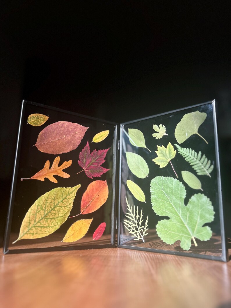 Nature Pressed Leaf Mural, Pressed Leaf Art, Framed Leaves, Eco Art ...