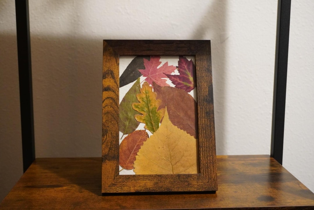 Nature Pressed Leaf Mural, Pressed Leaf Art, Framed Leaves, Eco Art ...