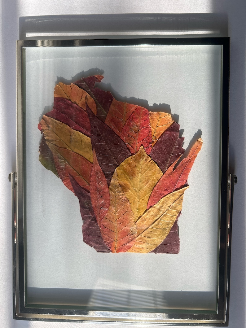 Wisconsin Pressed Leaf Art, Real Preserved Natural Leaves, Framed ...