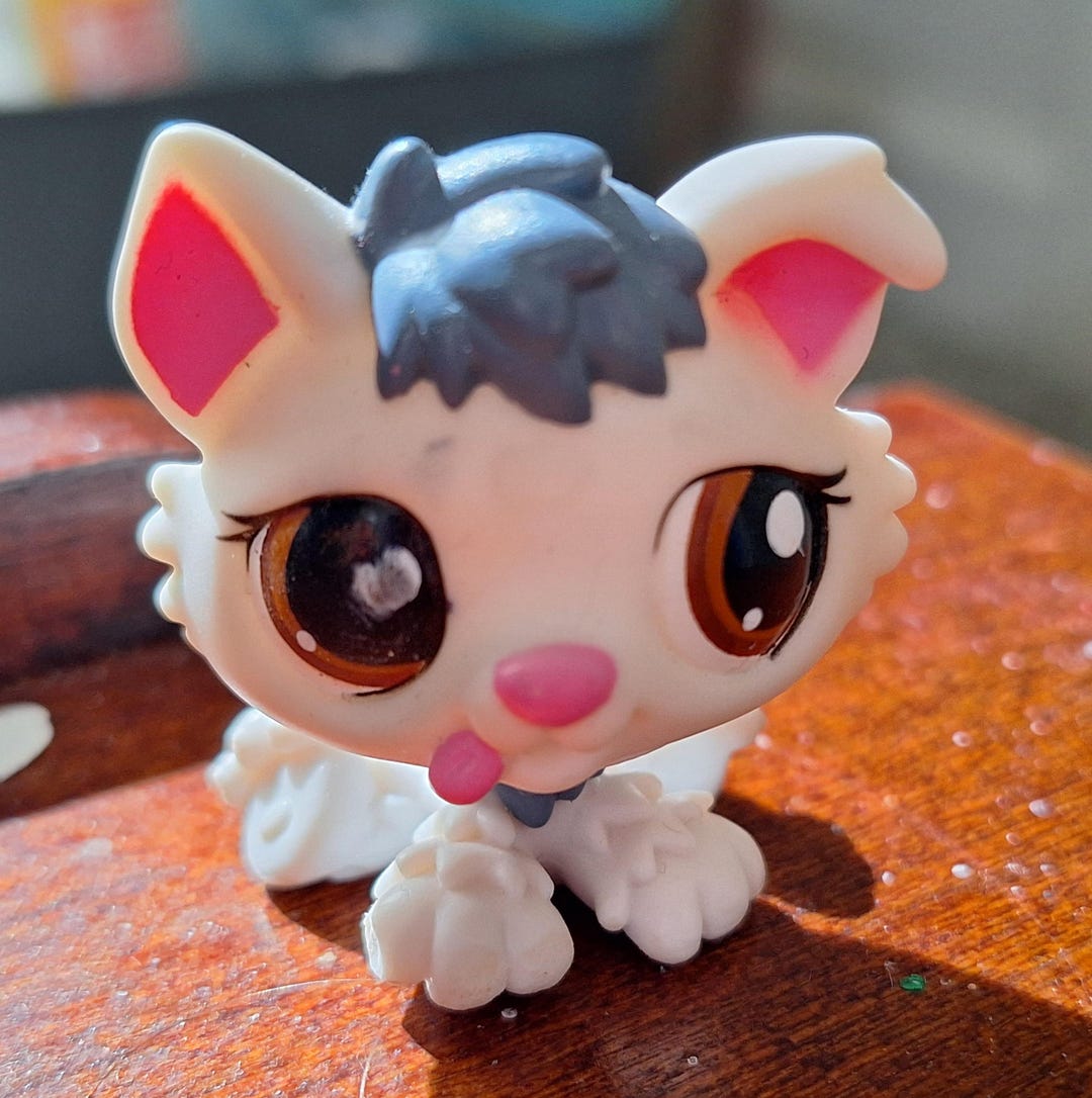 LPS Hasbro Blind Bag White Husky Puppy #2439 - Authentic Littlest Pet ...