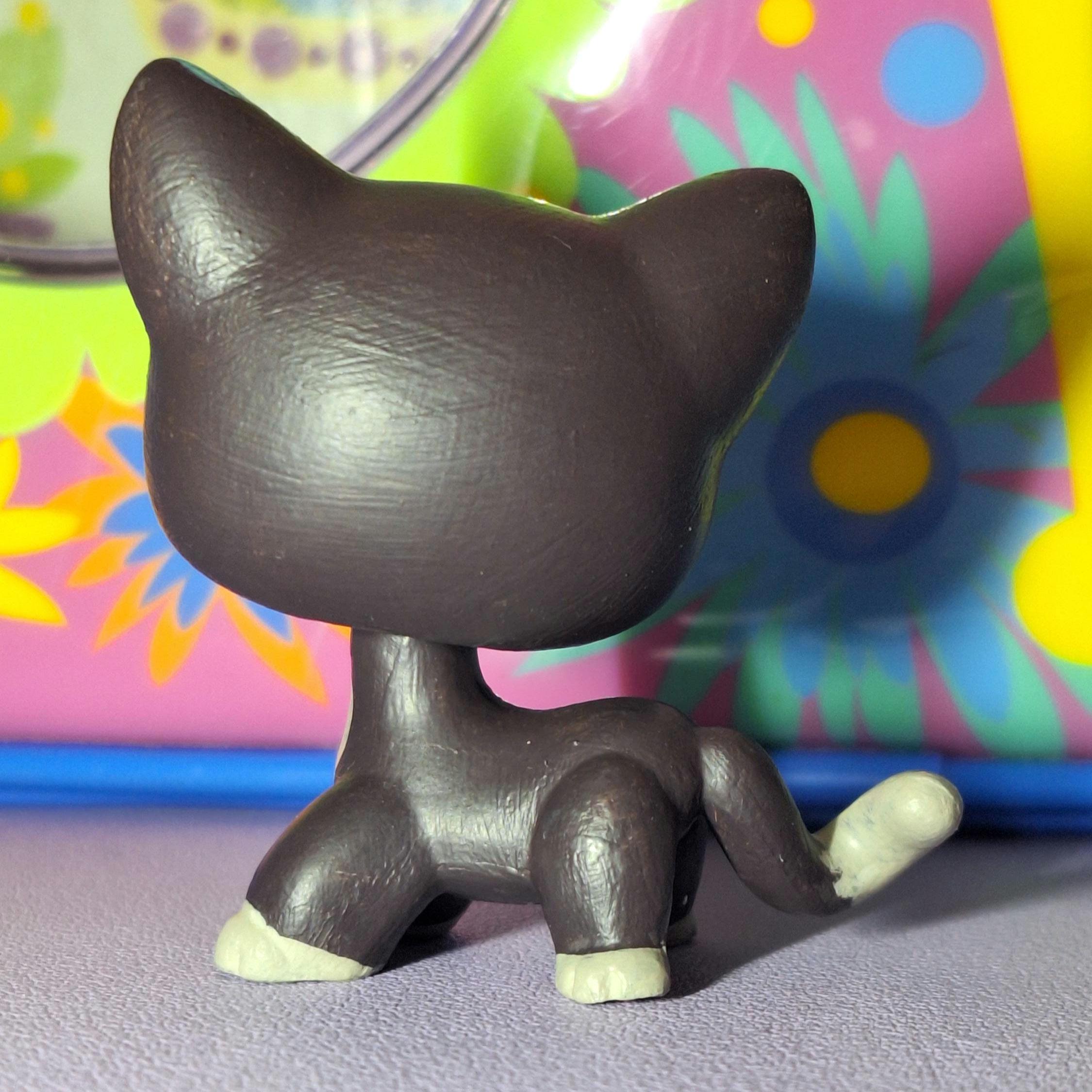 Shorthair 815 Custom LPS Paint Cat Littlest Pet Shop - Etsy
