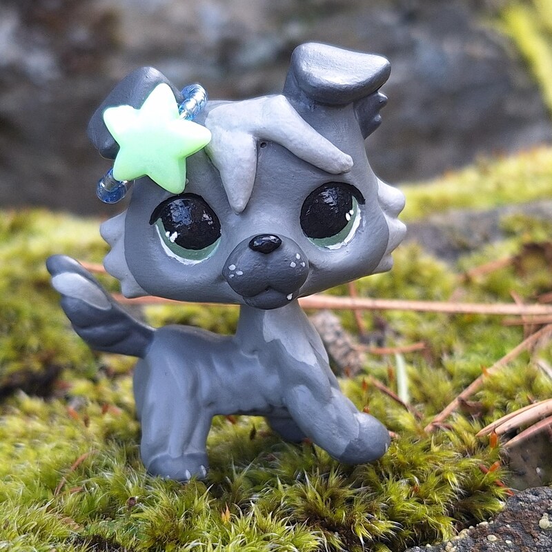 Lps Custom - Etsy
