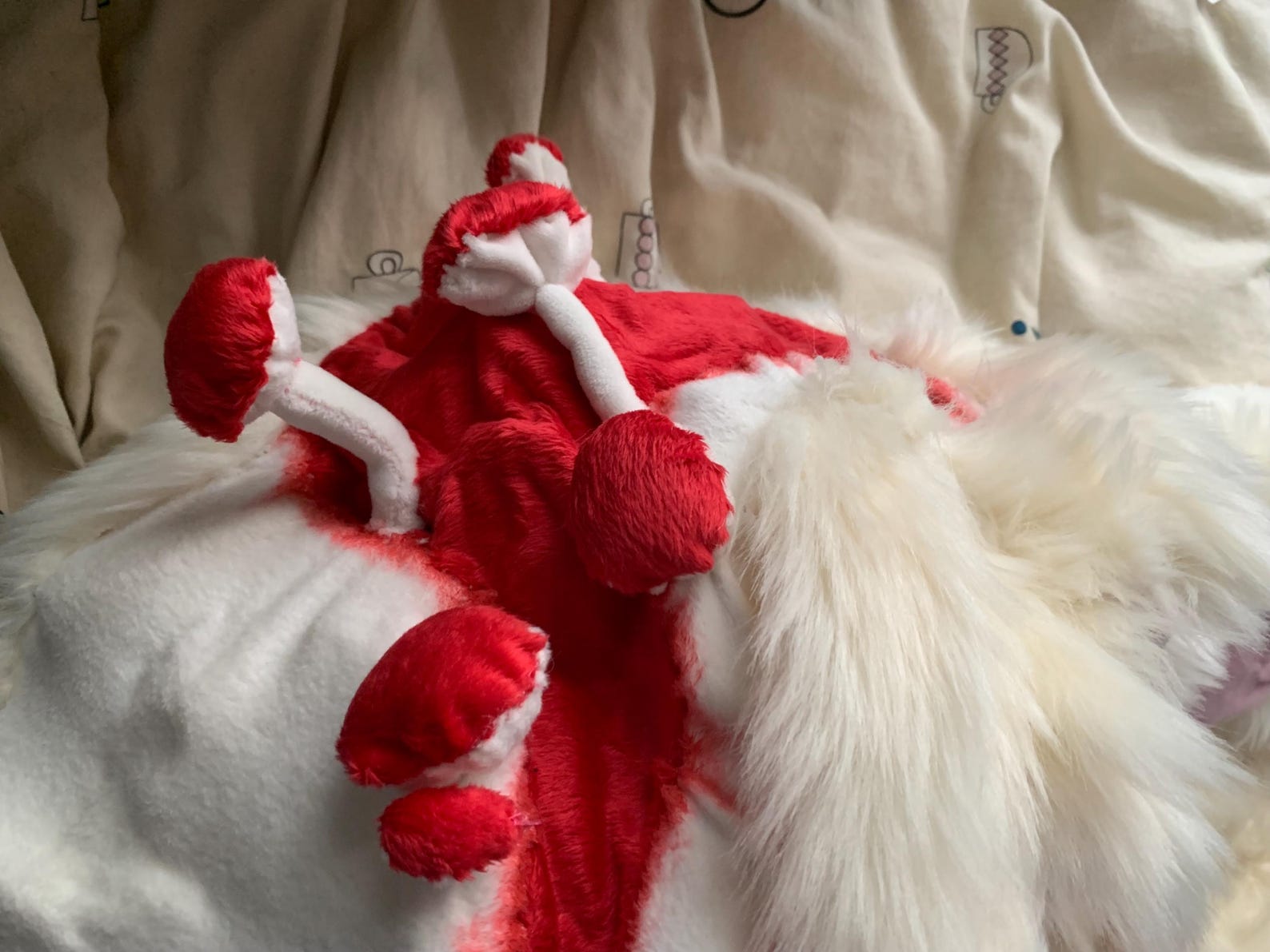 Albino Horror Zombie Bat Fursuit Mini Partial, Includes Head, Paws, and ...