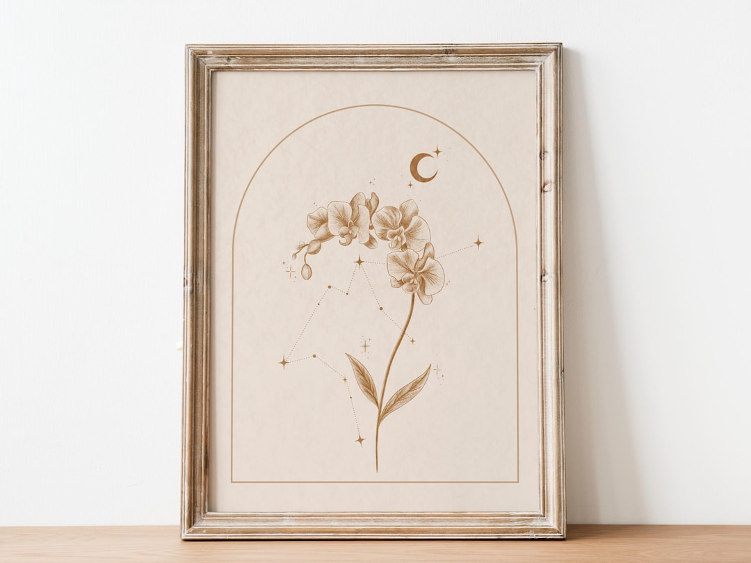 Aquarius Constellation & Birth Flower | January February Orchids ...