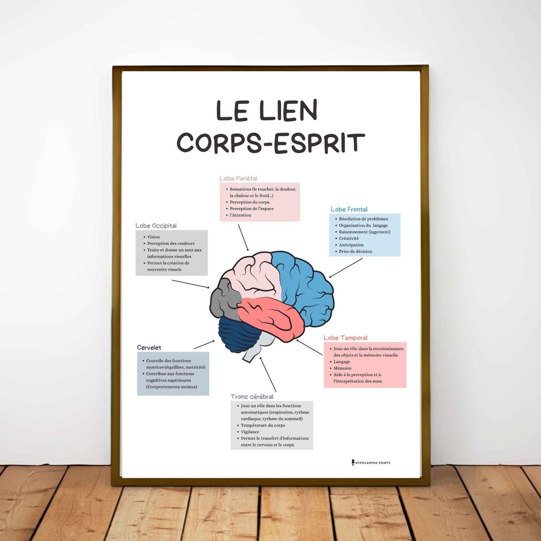 Mind-body Connection Mental Health Poster in French Brain Anatomy EMDR ...