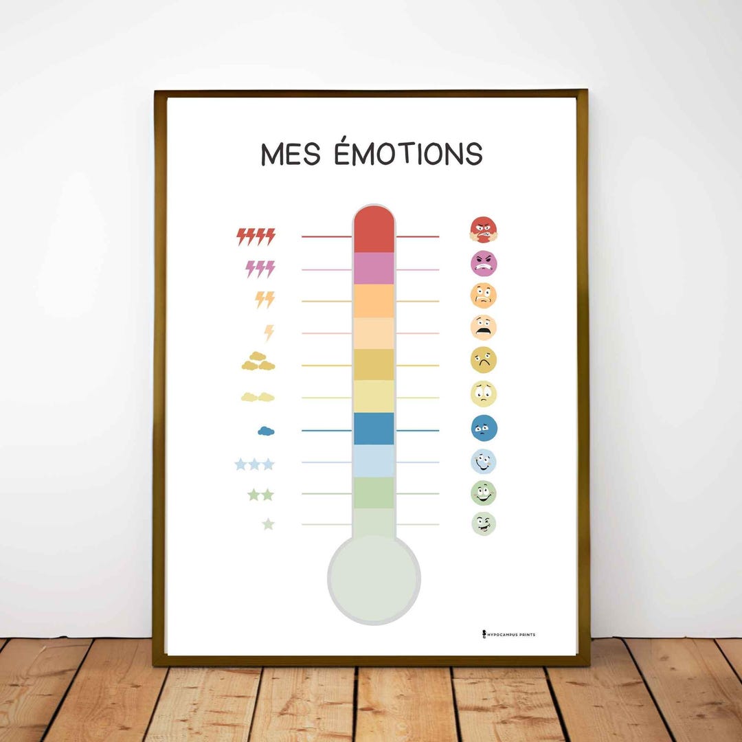 Baromètre des émotions en français Poster des émotions Régulation ...