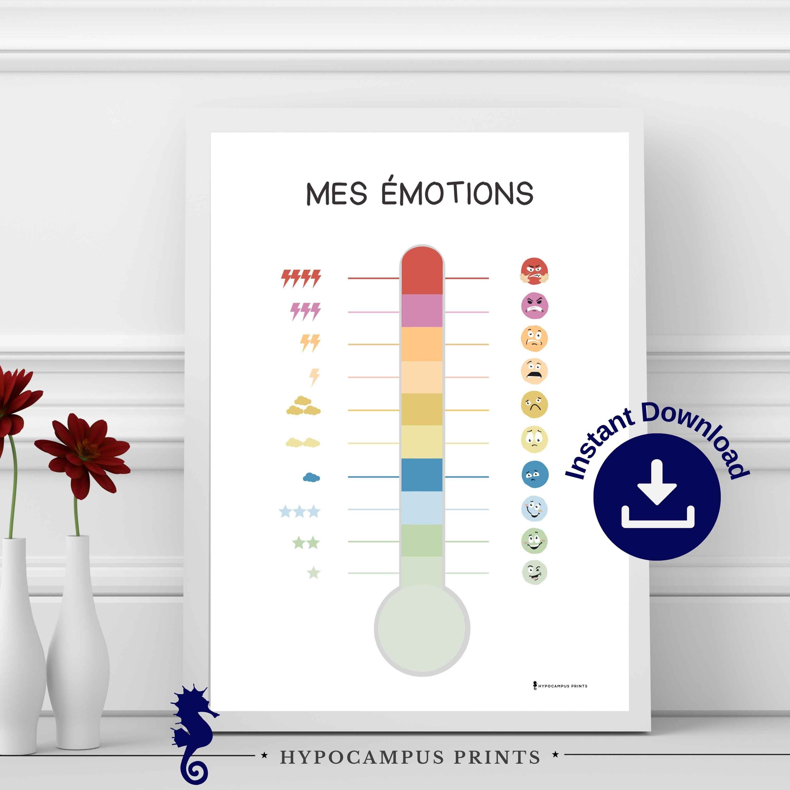 Barometer of Emotions in French Poster of Emotions Emotional Regulation ...