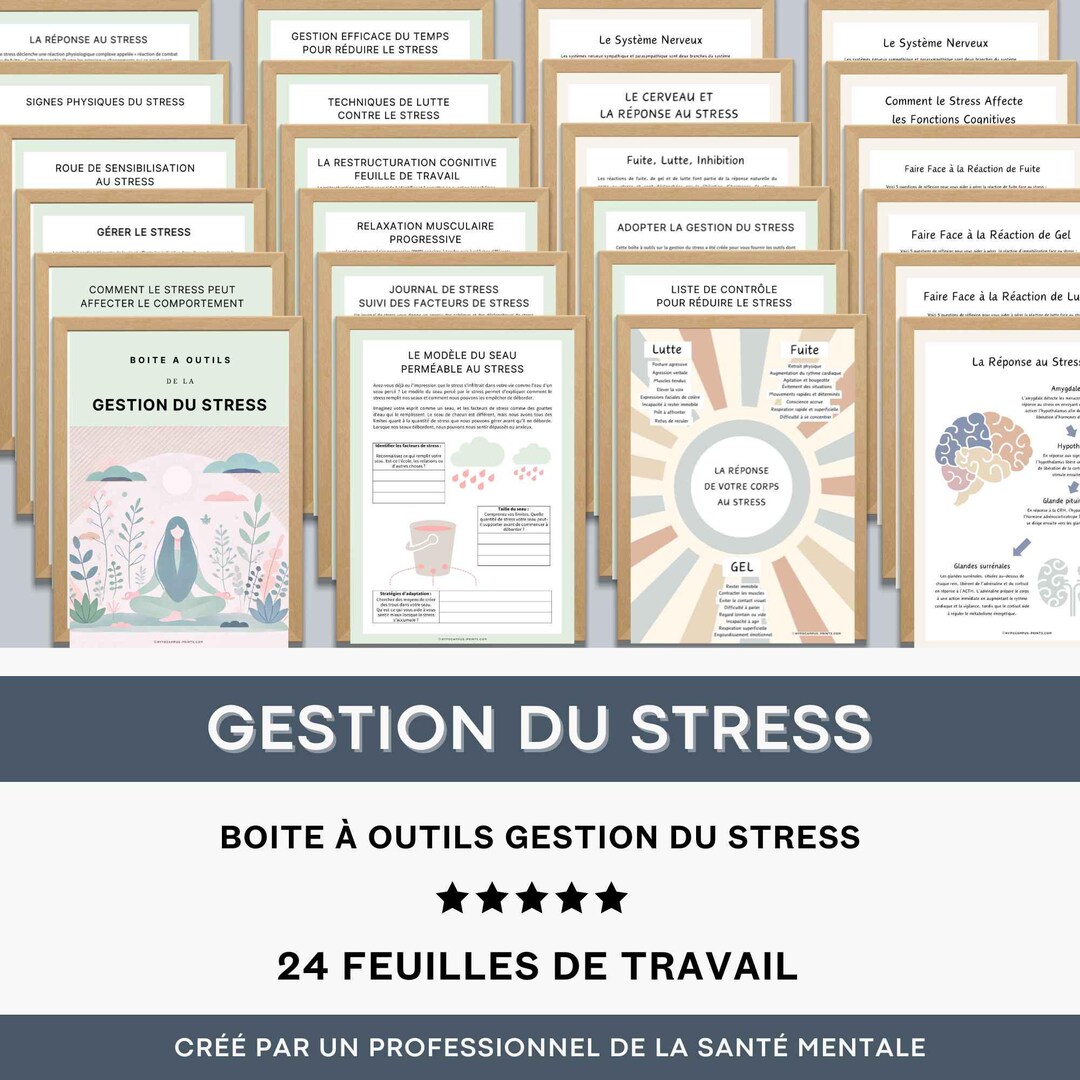 Stress Management Toolbox - Worksheets - Fight Flight Freeze ...