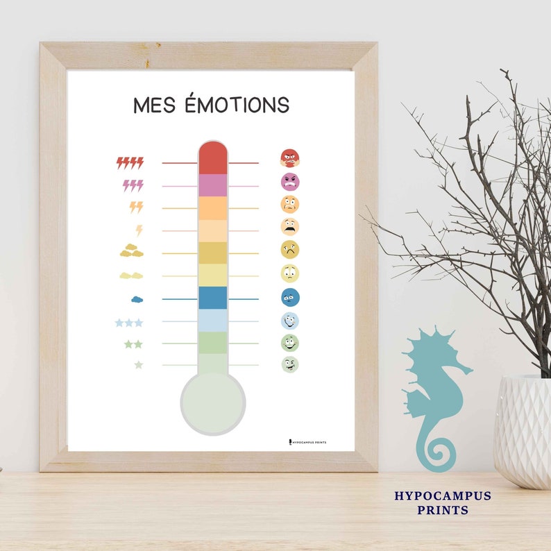 Barometer of Emotions in French Poster of Emotions Emotional Regulation ...