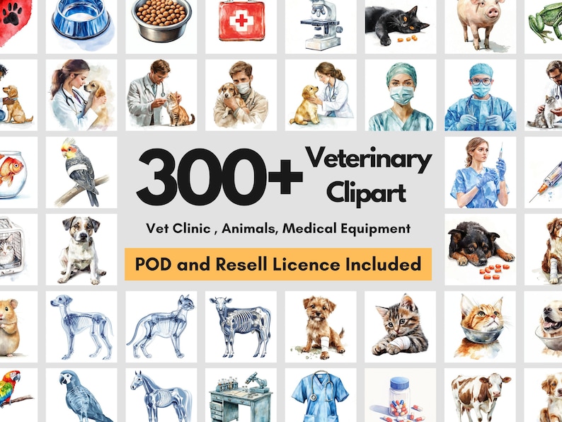 Veterinary Clipart Bundle: Vet Clinic Illustrations, Animal Anatomy ...