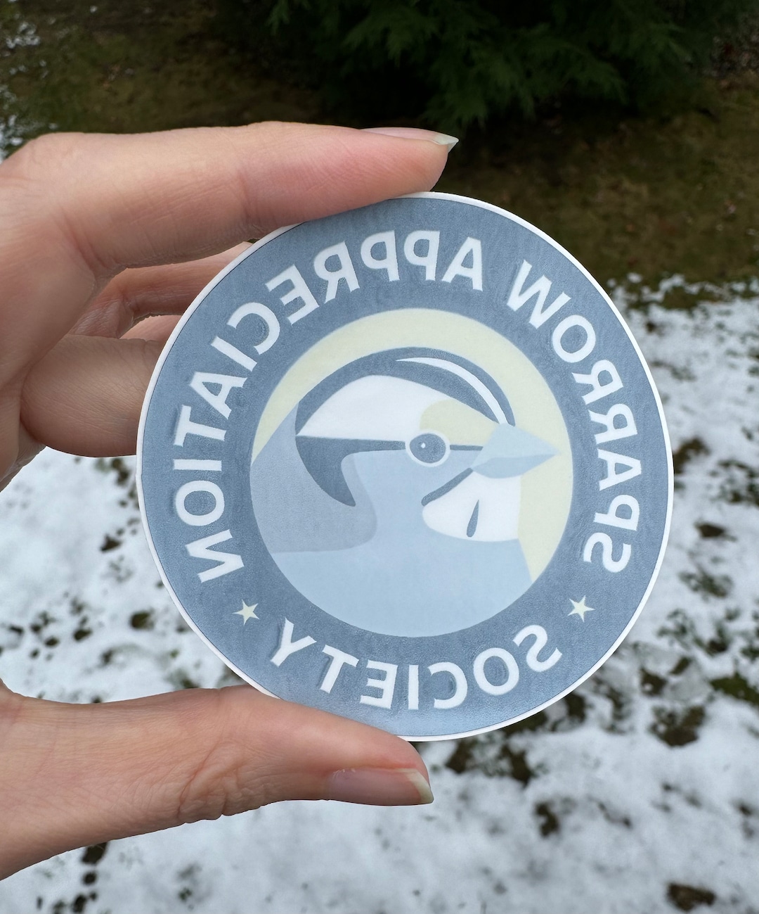 Sparrow Appreciation Society Reverse Window Sticker Decal - Etsy