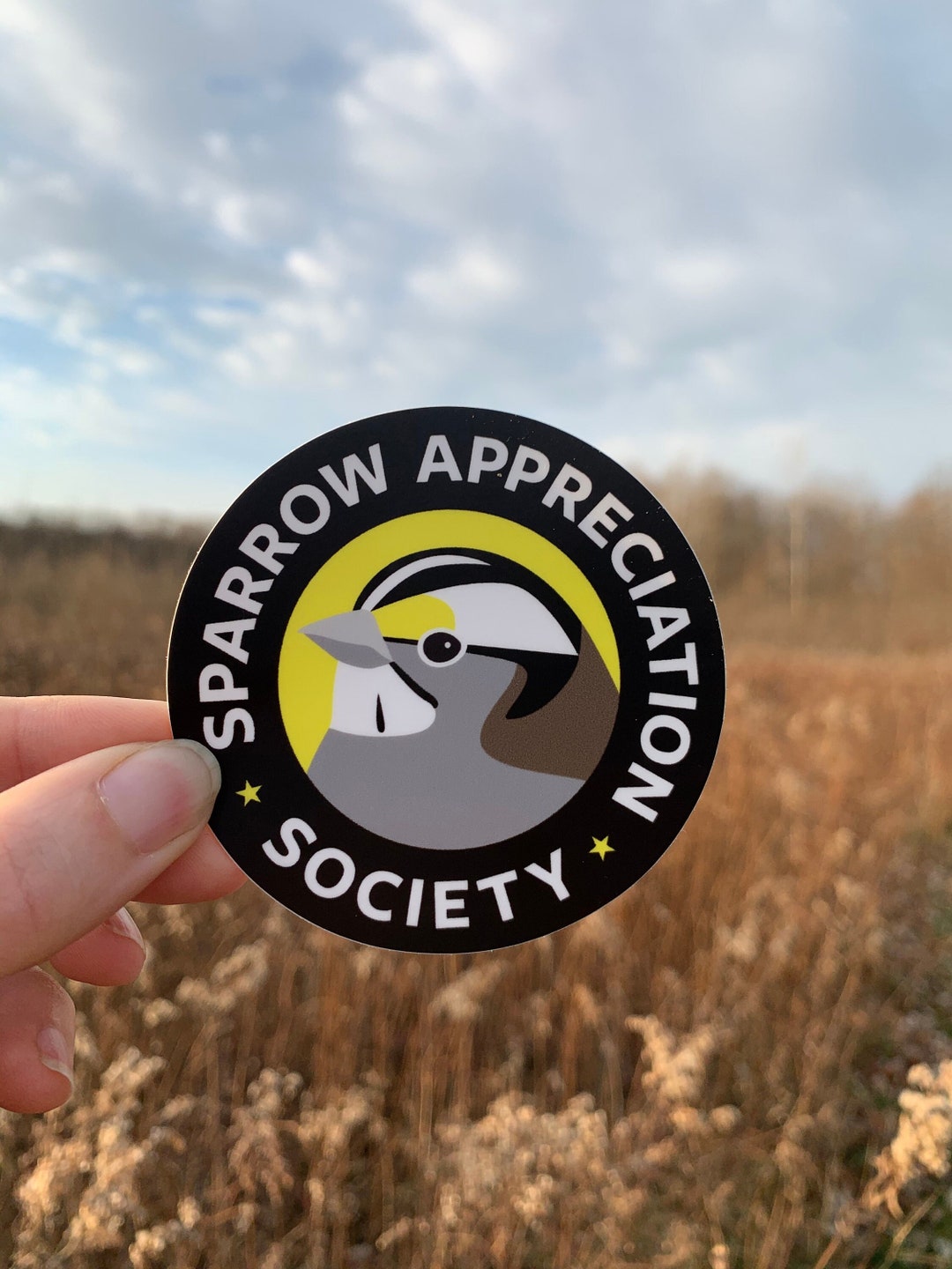 Sparrow Appreciation Society Sticker - Etsy