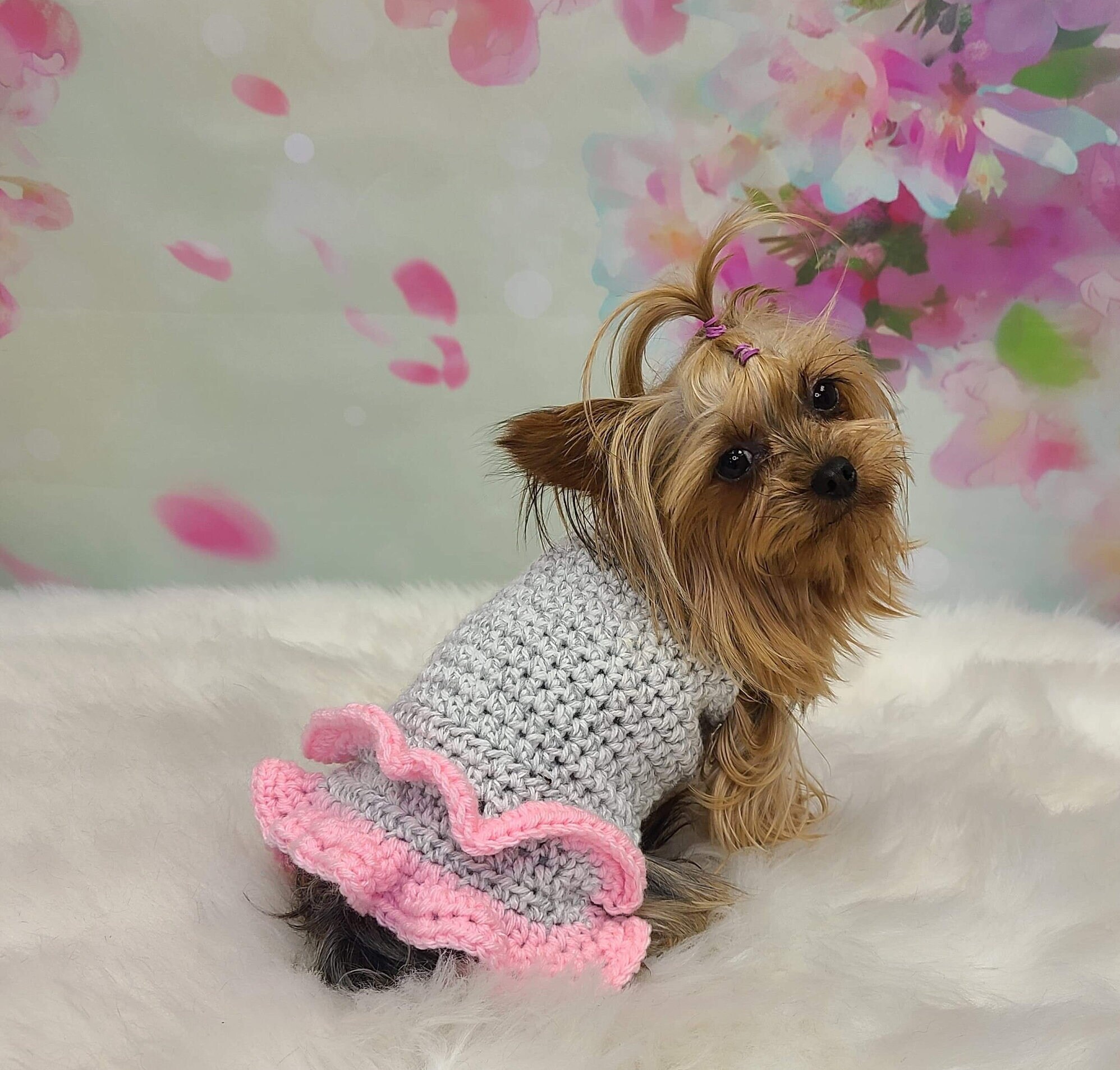 Tiny Dog Sweaters Etsy