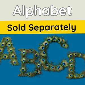 0 to 9 Clipart Font Typography Numbers Peacock Feather PNG Transparent ...