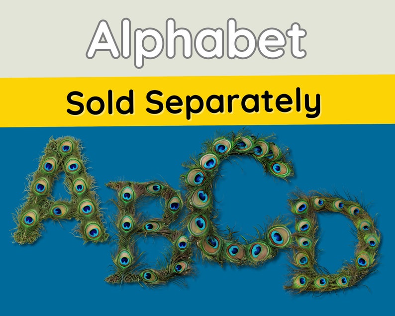 0 to 9 Clipart Font Typography Numbers Peacock Feather PNG Transparent ...