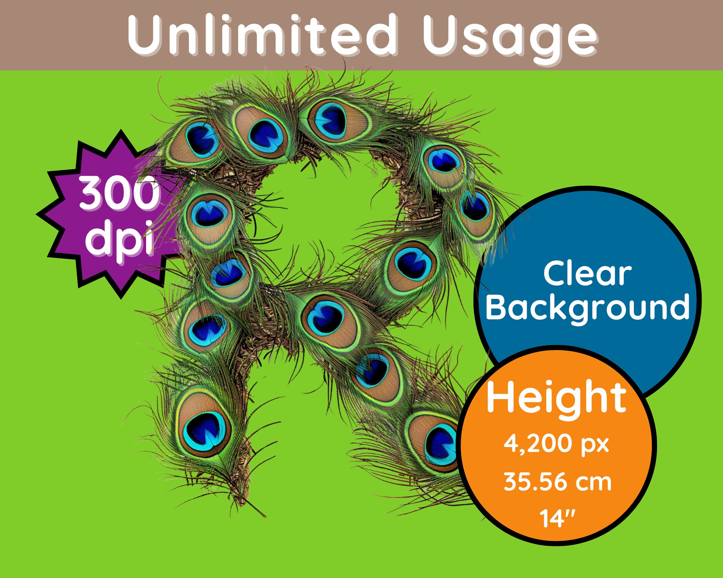 A to Z Clipart Font Peacock Typography Uppercase Alphabet Letters PNG ...