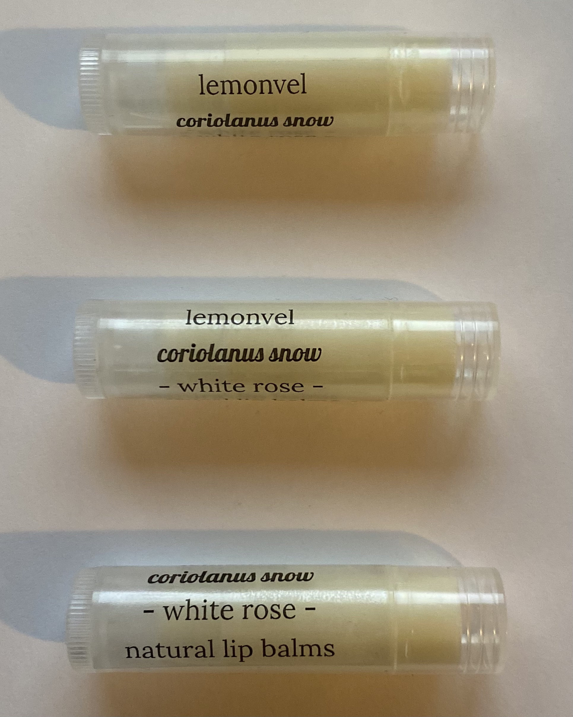 Coriolanus Snow Rose Scented Hunger Games Lip Balm - Etsy