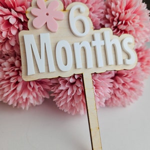6 Months Topper | Halfway to One | Half Birthday Topper | 6 Months ...