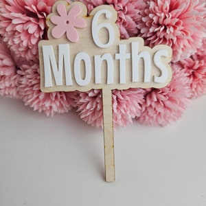6 Months Topper | Halfway to One | Half Birthday Topper | 6 Months ...