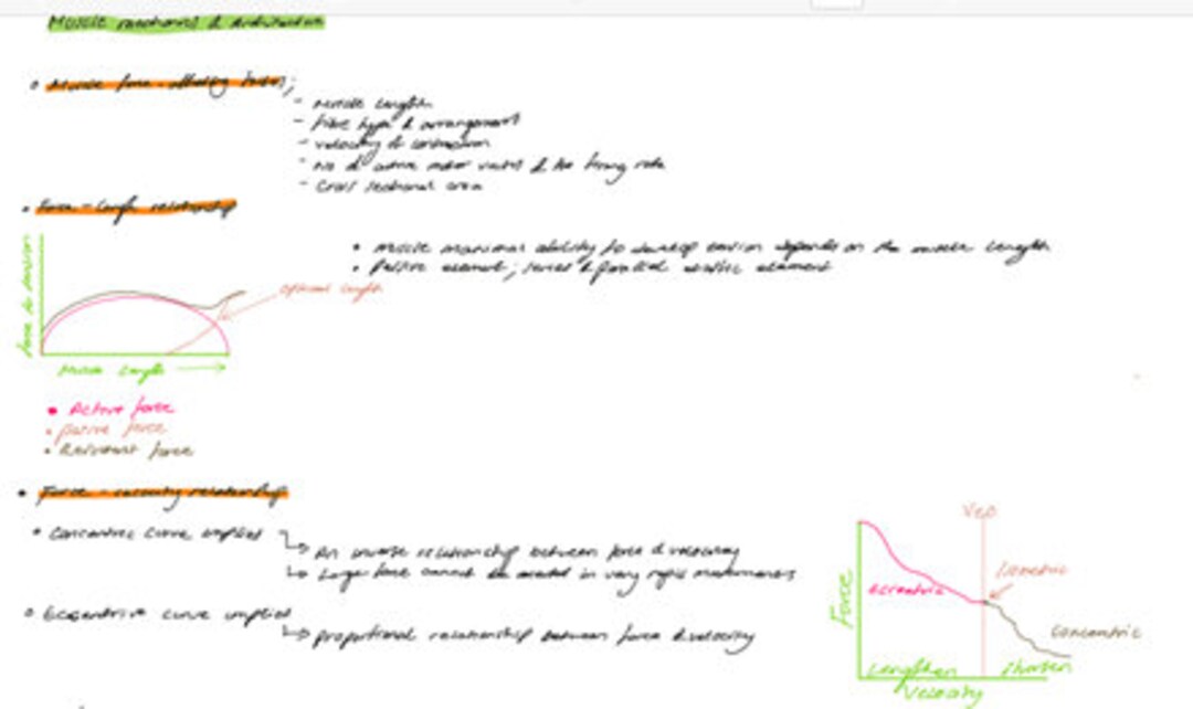 Sport Science Biomechanics Study Notes - Etsy