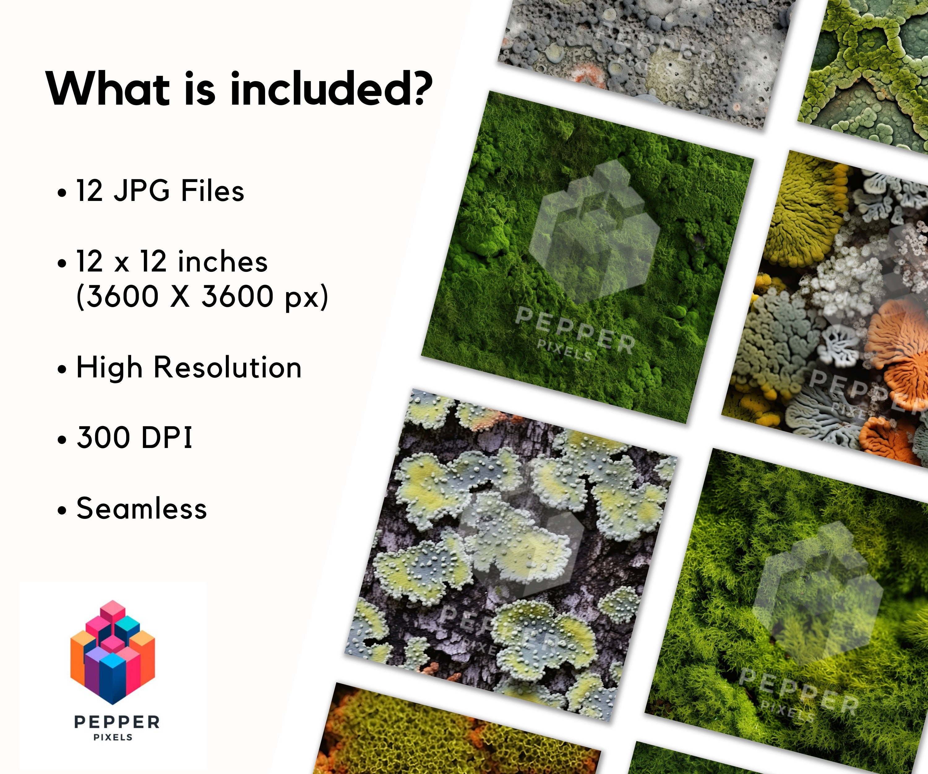 12 Moss & Lichens Digital Papers, Seamless Patterns, 12x12, Realistic ...