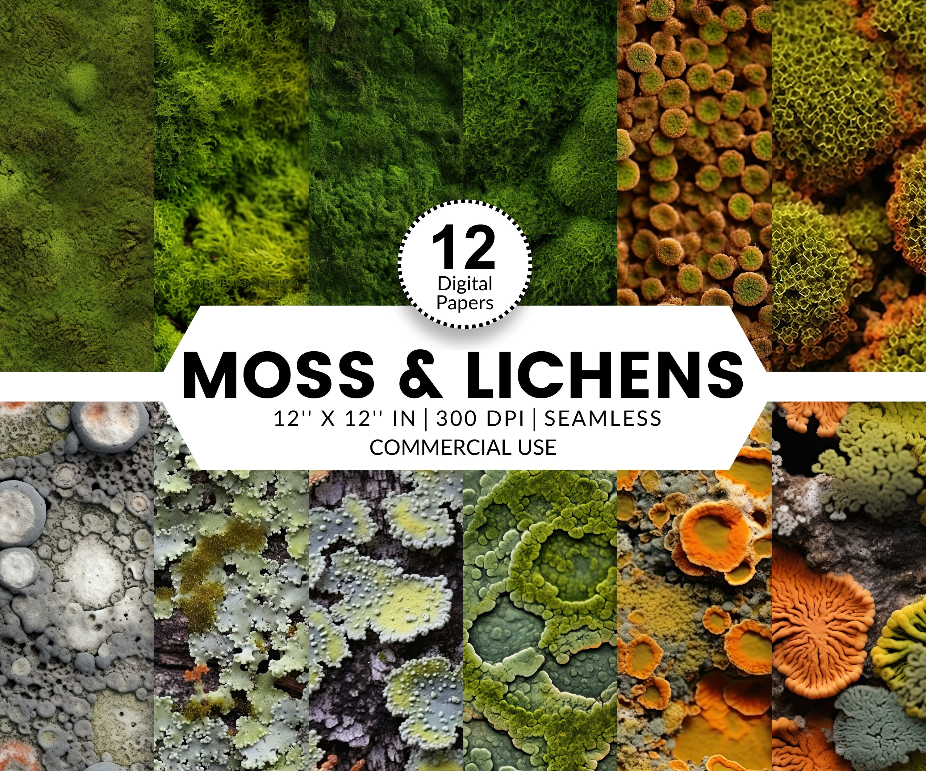 12 Moss & Lichens Digital Papers, Seamless Patterns, 12x12, Realistic ...
