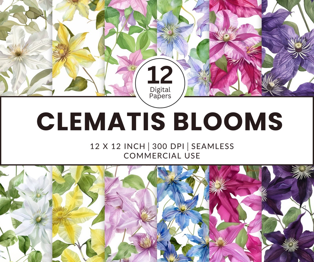 12 Clematis Blooms Digital Papers, Seamless Patterns, 12x12, Watercolor ...