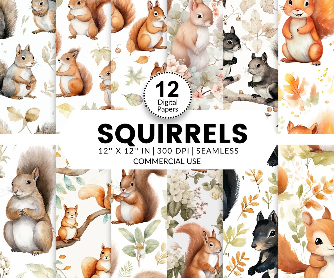 12 Squirrels Digital Papers, Seamless Patterns, 12x12, Watercolor Images Textures of Cute ...
