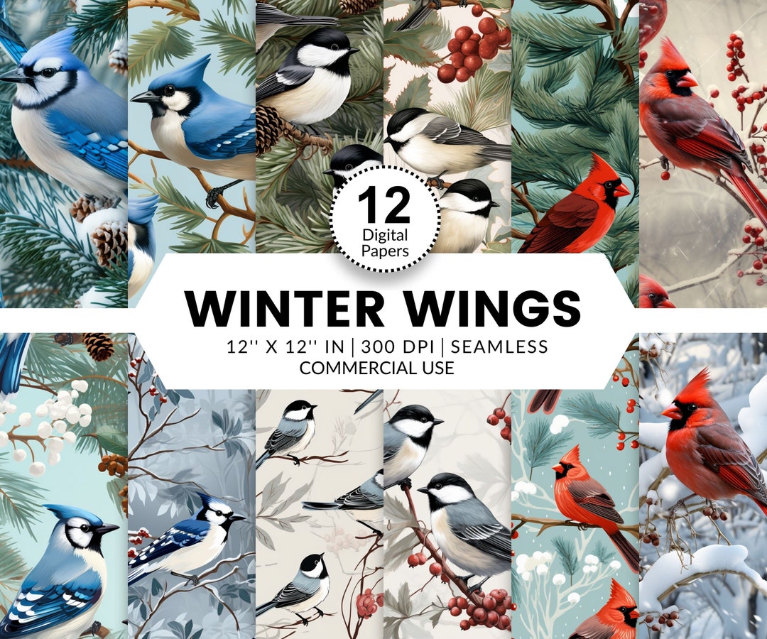 12 Winter Wings Digital Papers, Seamless Patterns, 12x12, Realistic ...