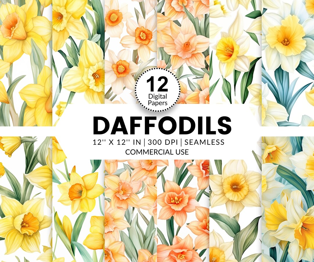 12 Daffodils Digital Papers, Seamless Patterns, 12x12, Watercolor ...