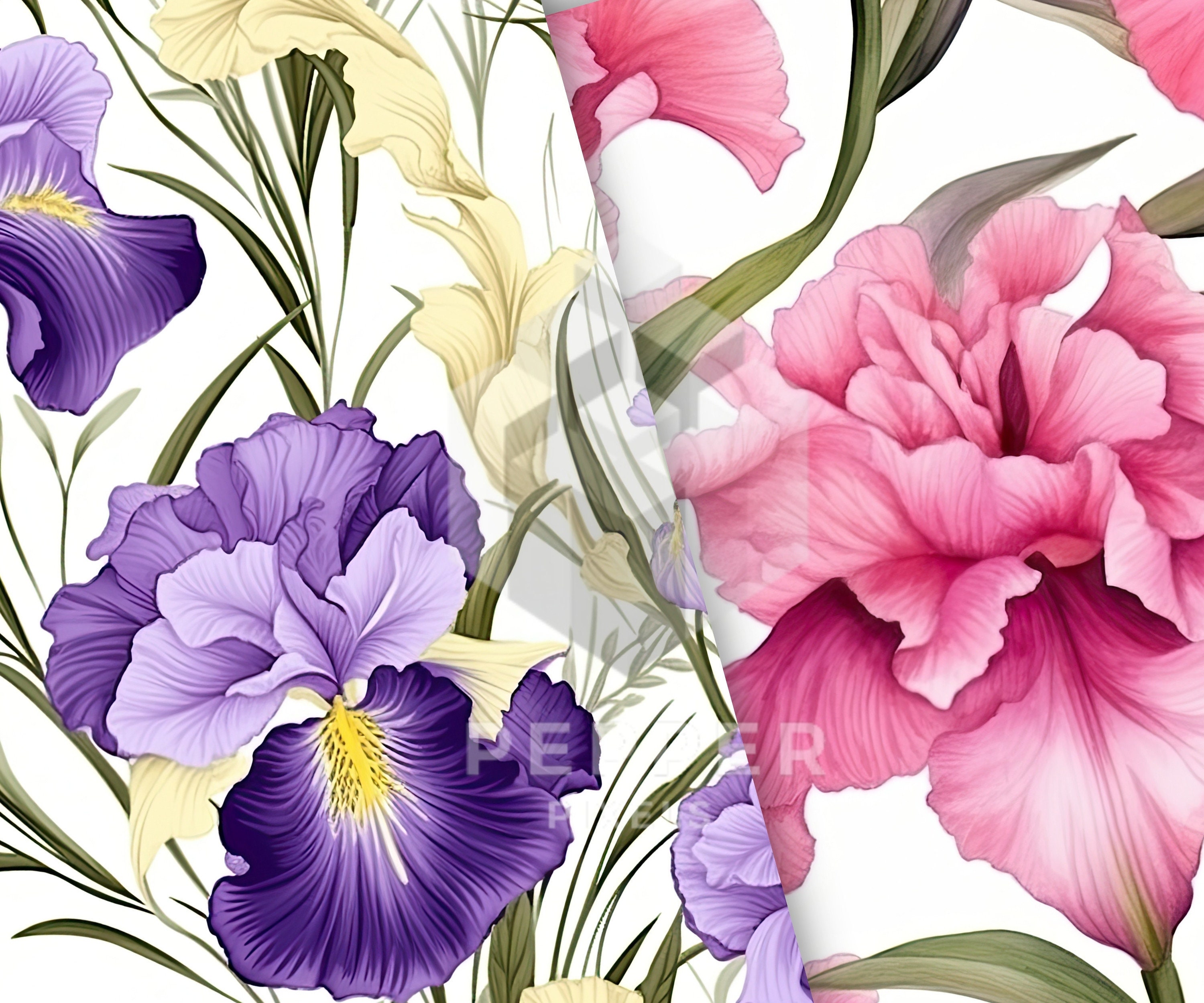 12 Iris Blooms Digital Papers, Seamless Patterns, 12x12, Watercolor ...