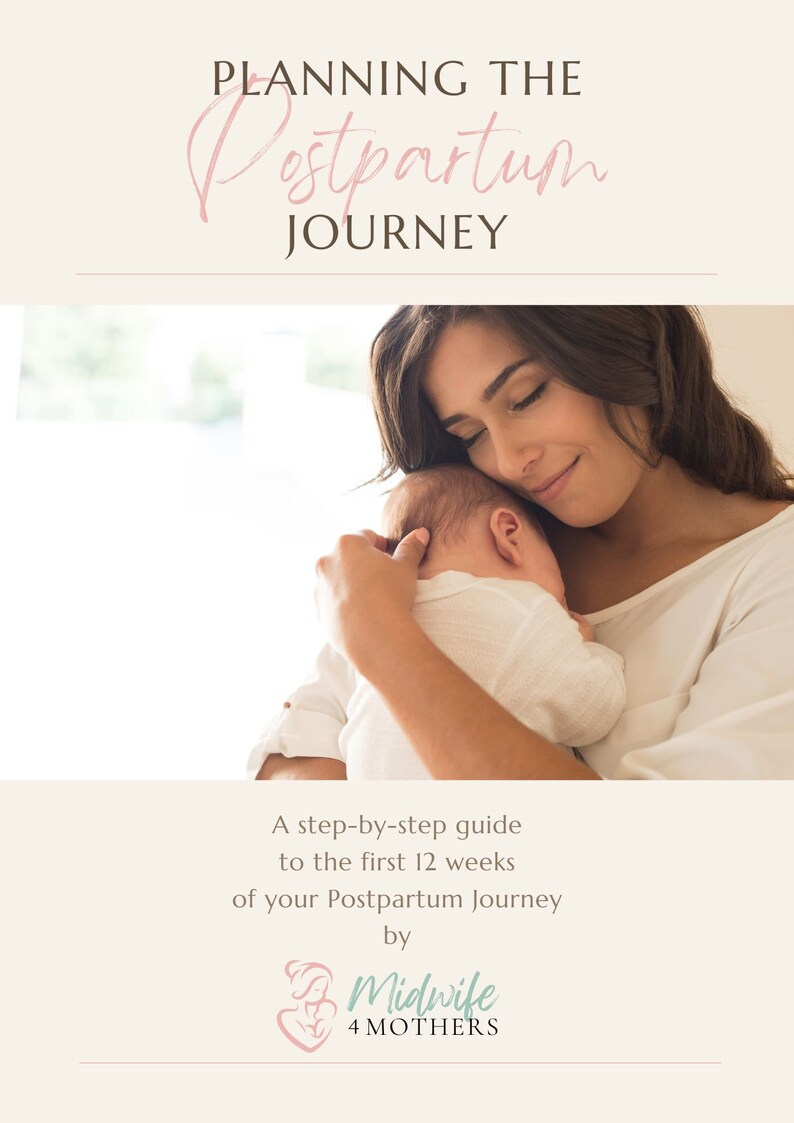 Planning the Postpartum Journey: A Step by Step Guide to the First 12 ...