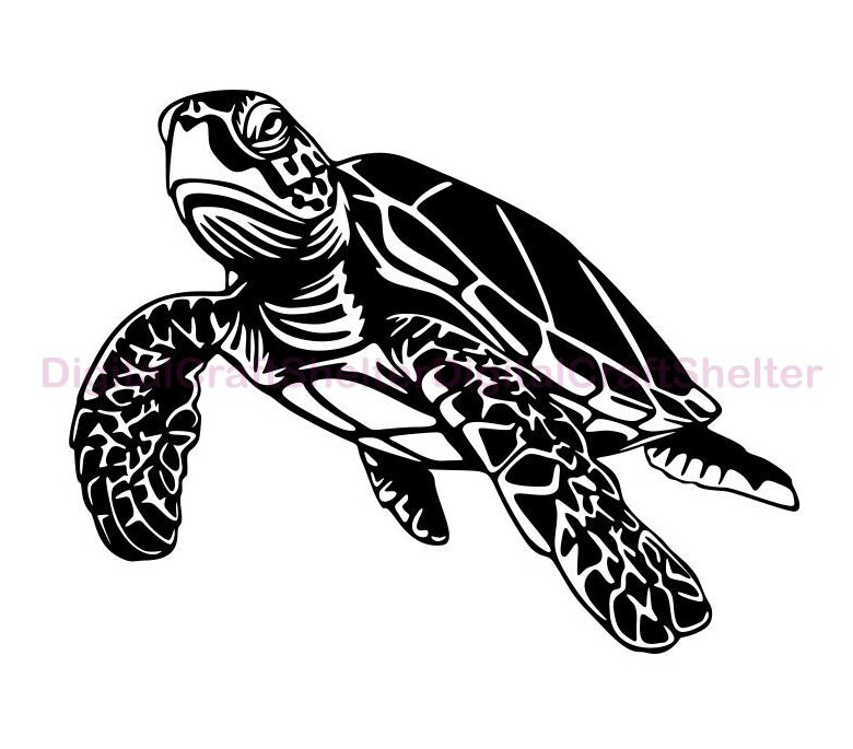 Turtle Svg, Laser Cut File, Vector Aquatic, Dxf Plasma Cnc, Sea Turtle ...
