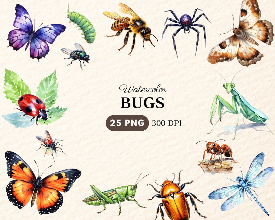 Watercolor Bugs Clipart, Watercolor Insect, Nature Clipart, Butterfly ...