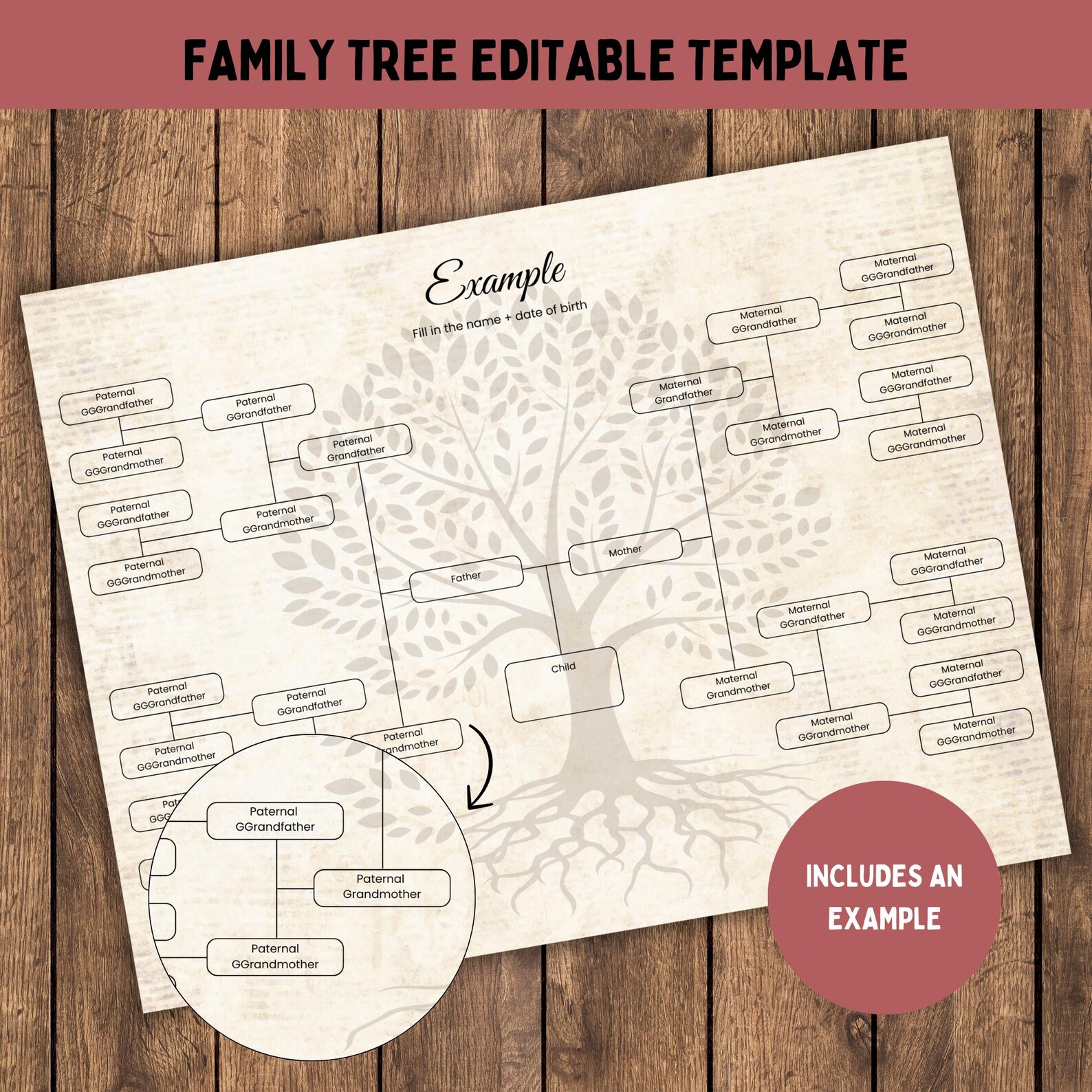 Editable Family Tree Chart: 5 Generation Genealogy (digital Download ...