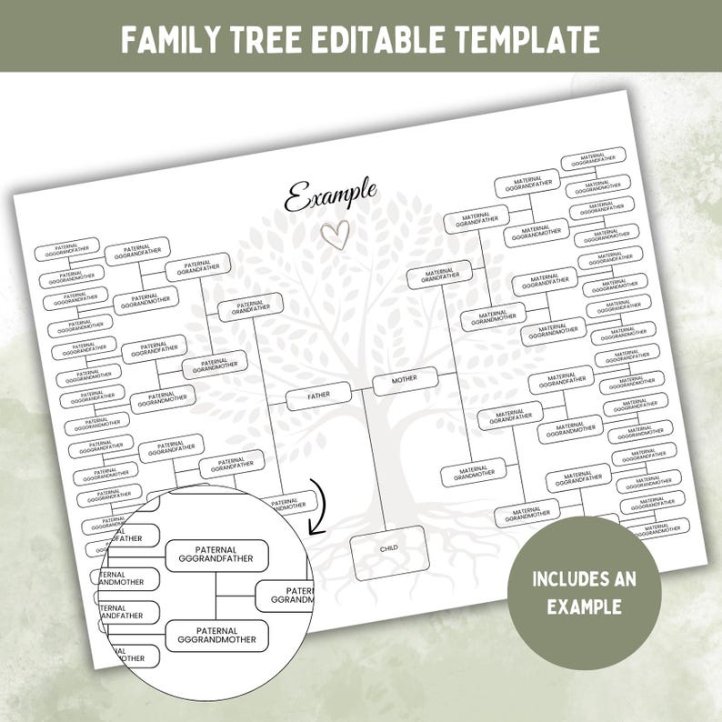 6-generation Family Tree Template: Genealogy Pedigree Chart (digital ...